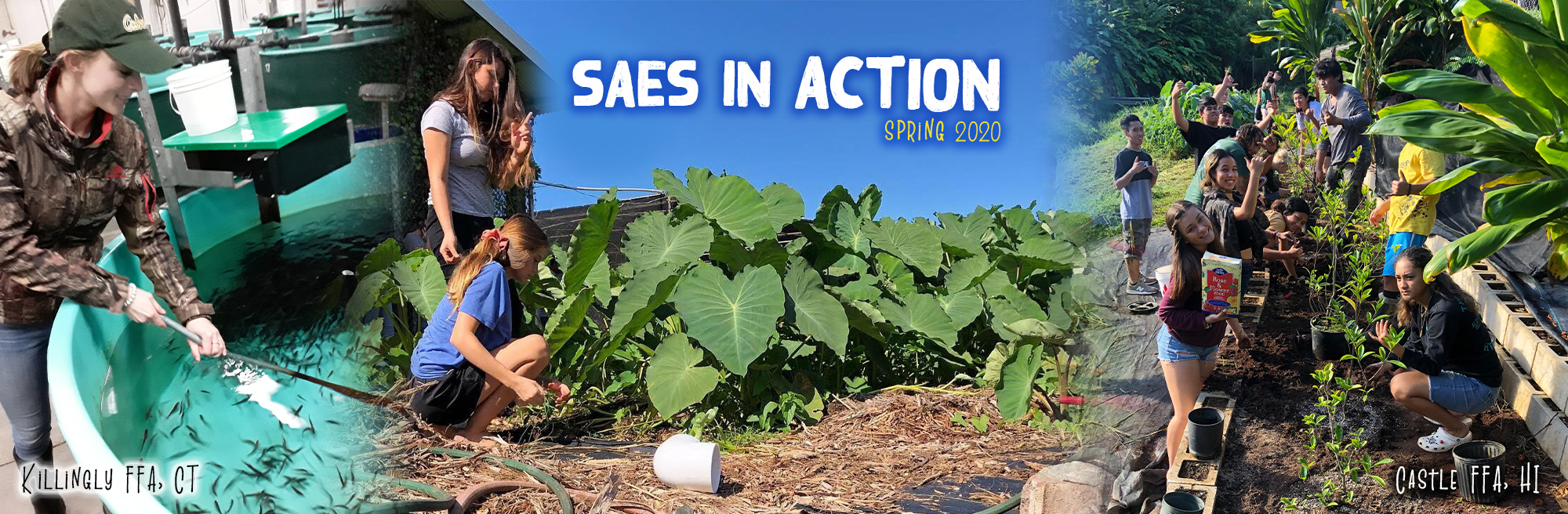 The Agricultural Experience Tracker (AET)